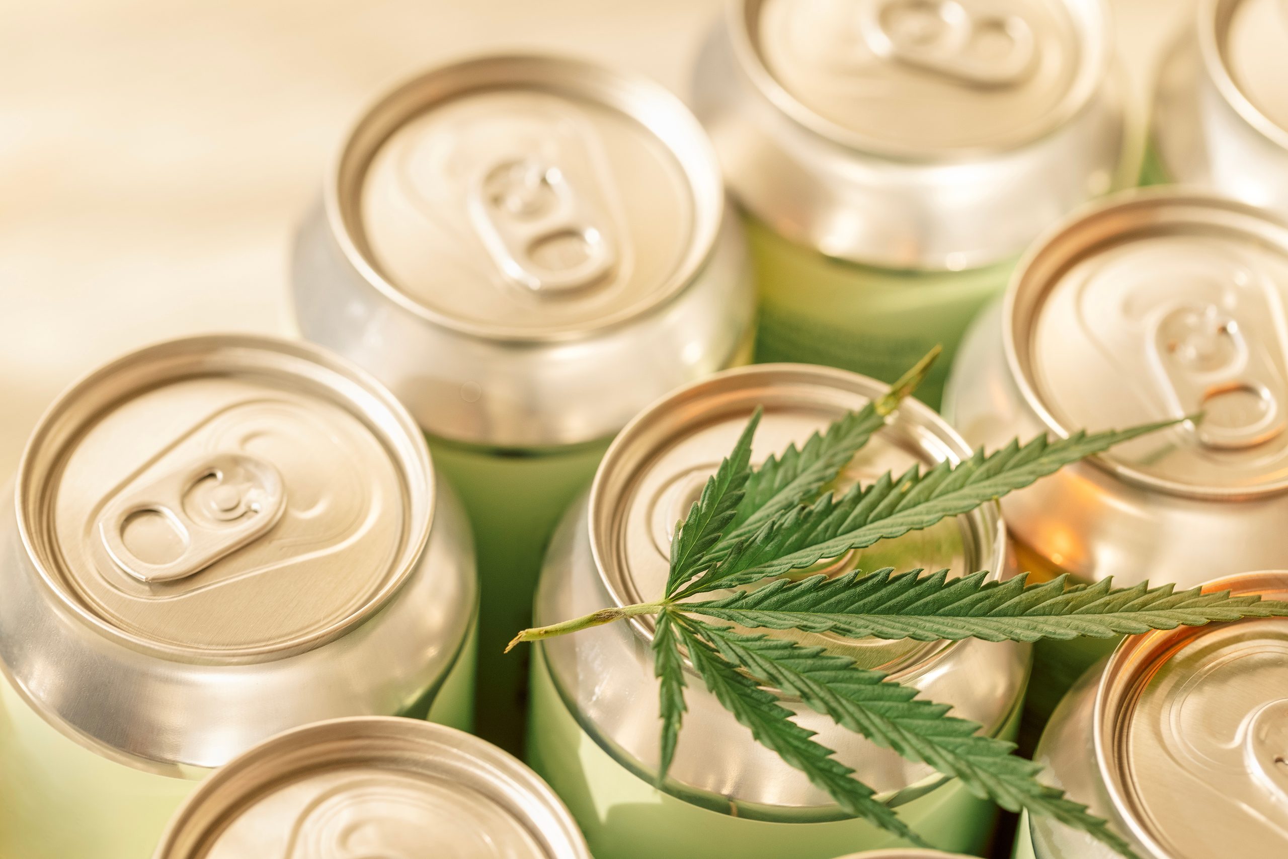 Presentation on Hemp Beverage Policies at the South Carolina House ...